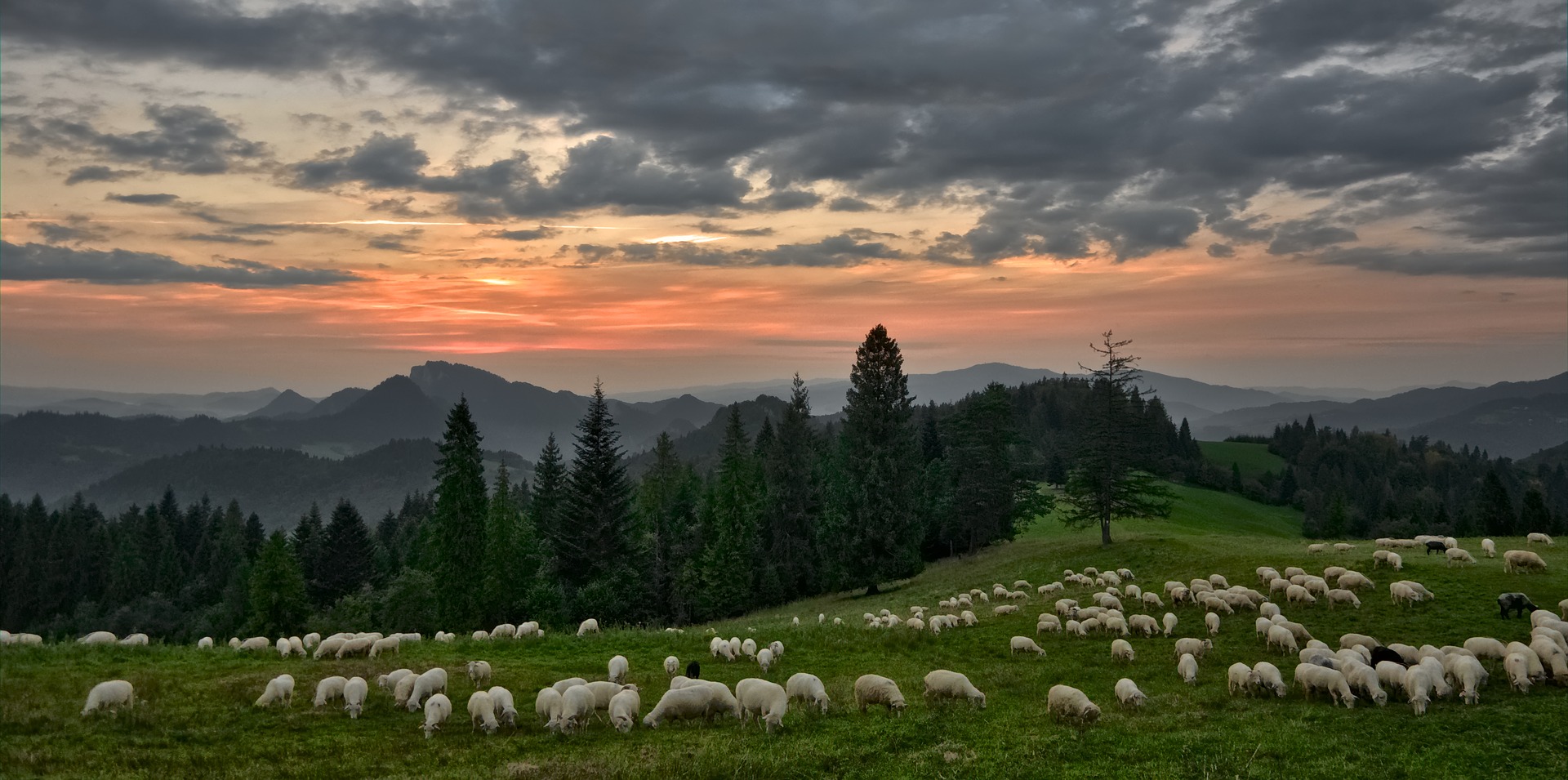 Part 1 – Hymns for the Little Flock (48 min) - Gospel Hall Audio