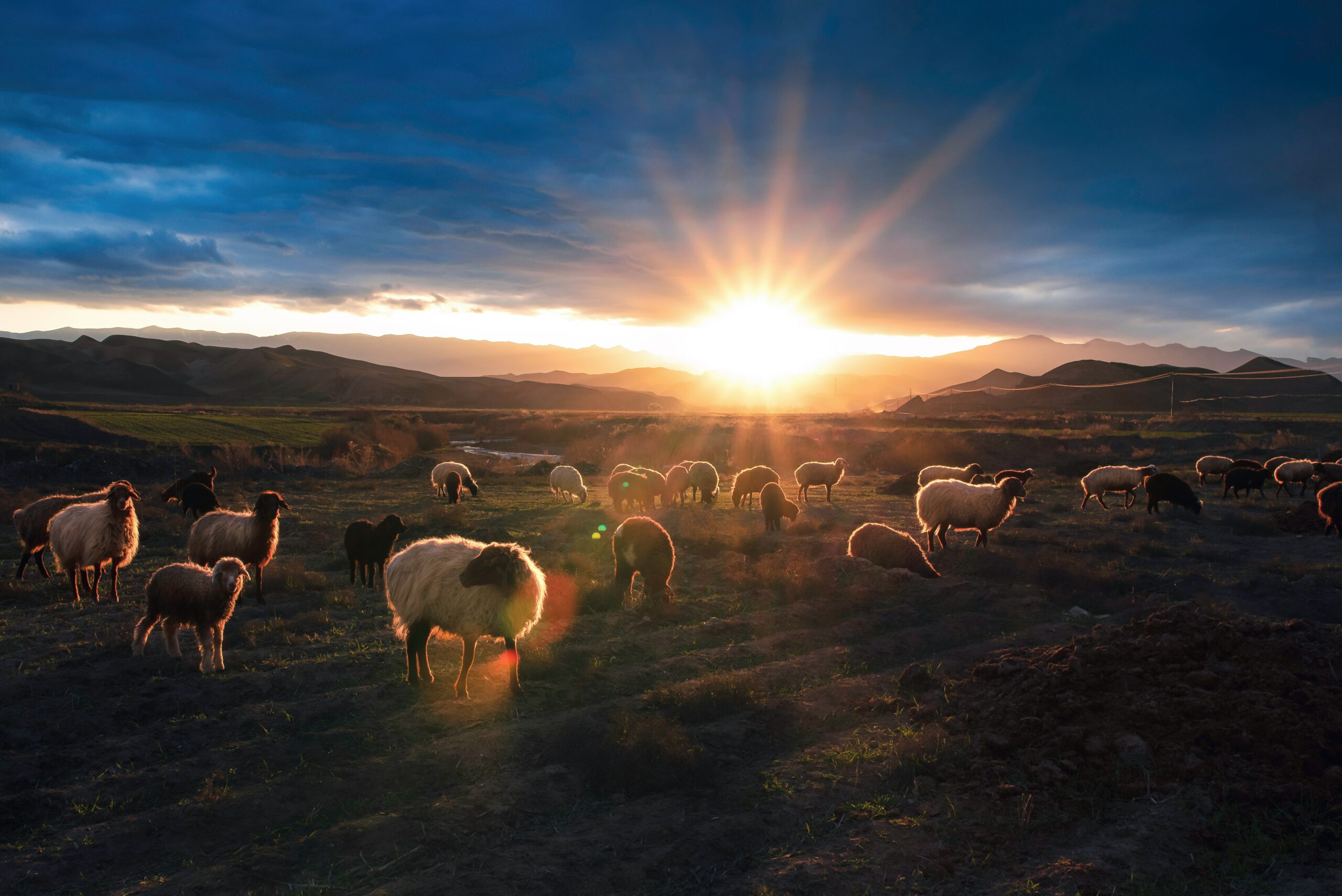 Part 3 – Hymns for the Little Flock (26 min) - Gospel Hall Audio