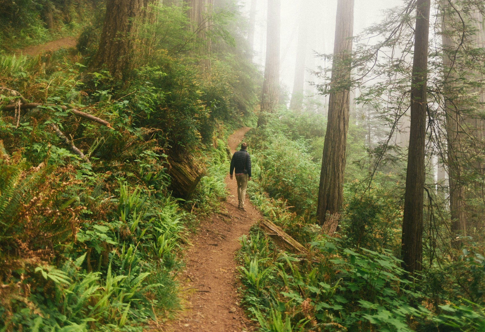 This Man Walked with God (40 min) - Gospel Hall Audio